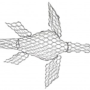 Dinosaurs | ChickenWIRED