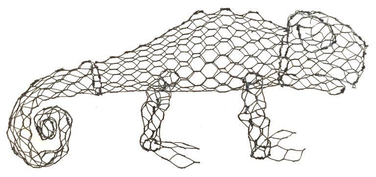 Chameleon - Downloadable Template & instructions - ChickenWIRED