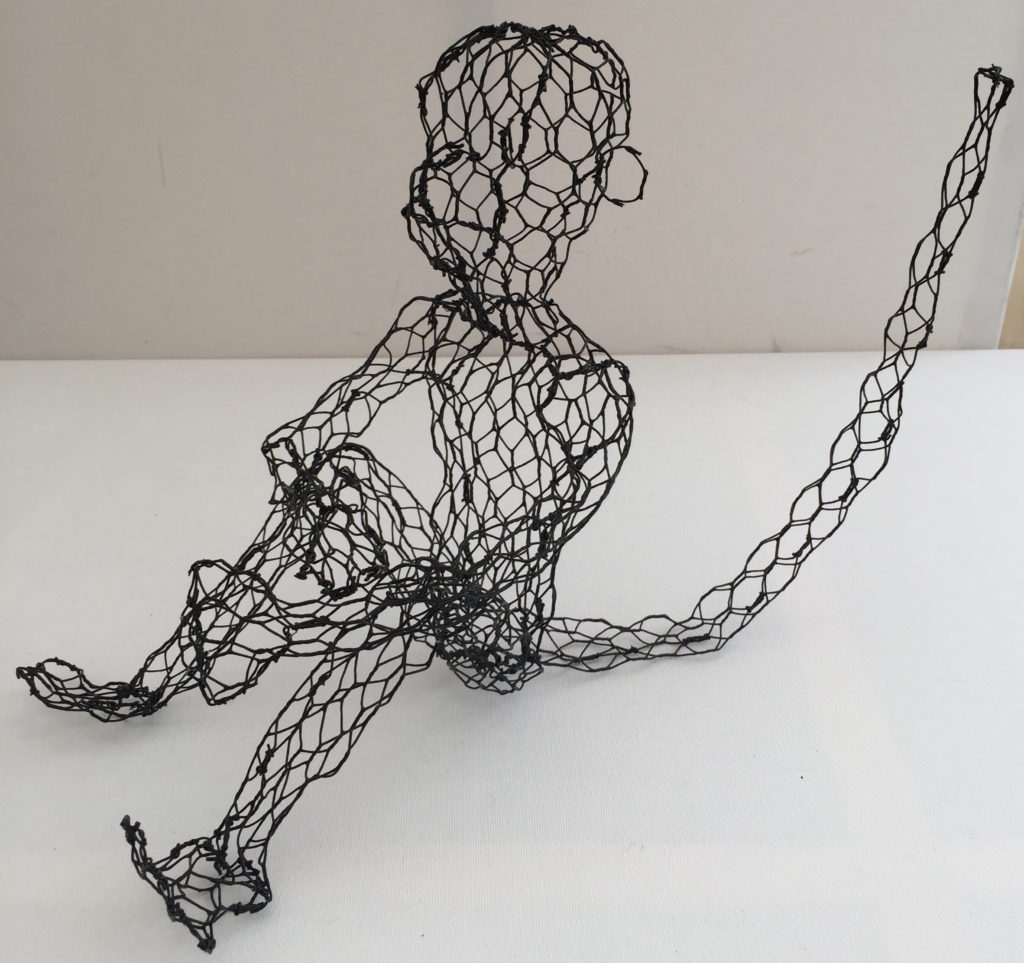 Monkey - Downloadable Template & instructions - ChickenWIRED