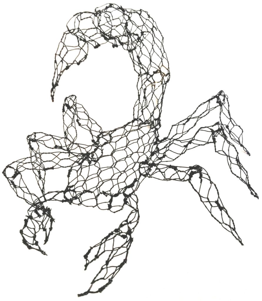 Scorpion - Downloadable Template & instructions - ChickenWIRED